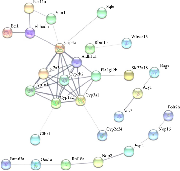 The protein-protein interactio [IMAGE] | EurekAlert! Science News Releases
