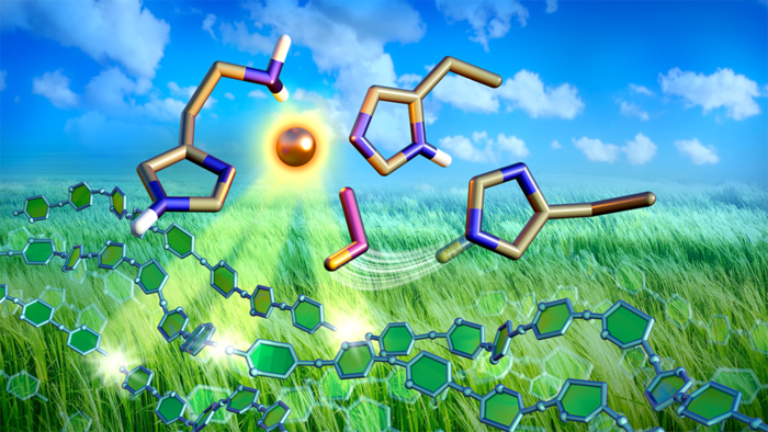 Dynamics between copper and ox [IMAGE] | EurekAlert! Science News Releases