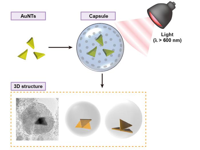 Graphical abstract of the stud [IMAGE] | EurekAlert! Science News Releases