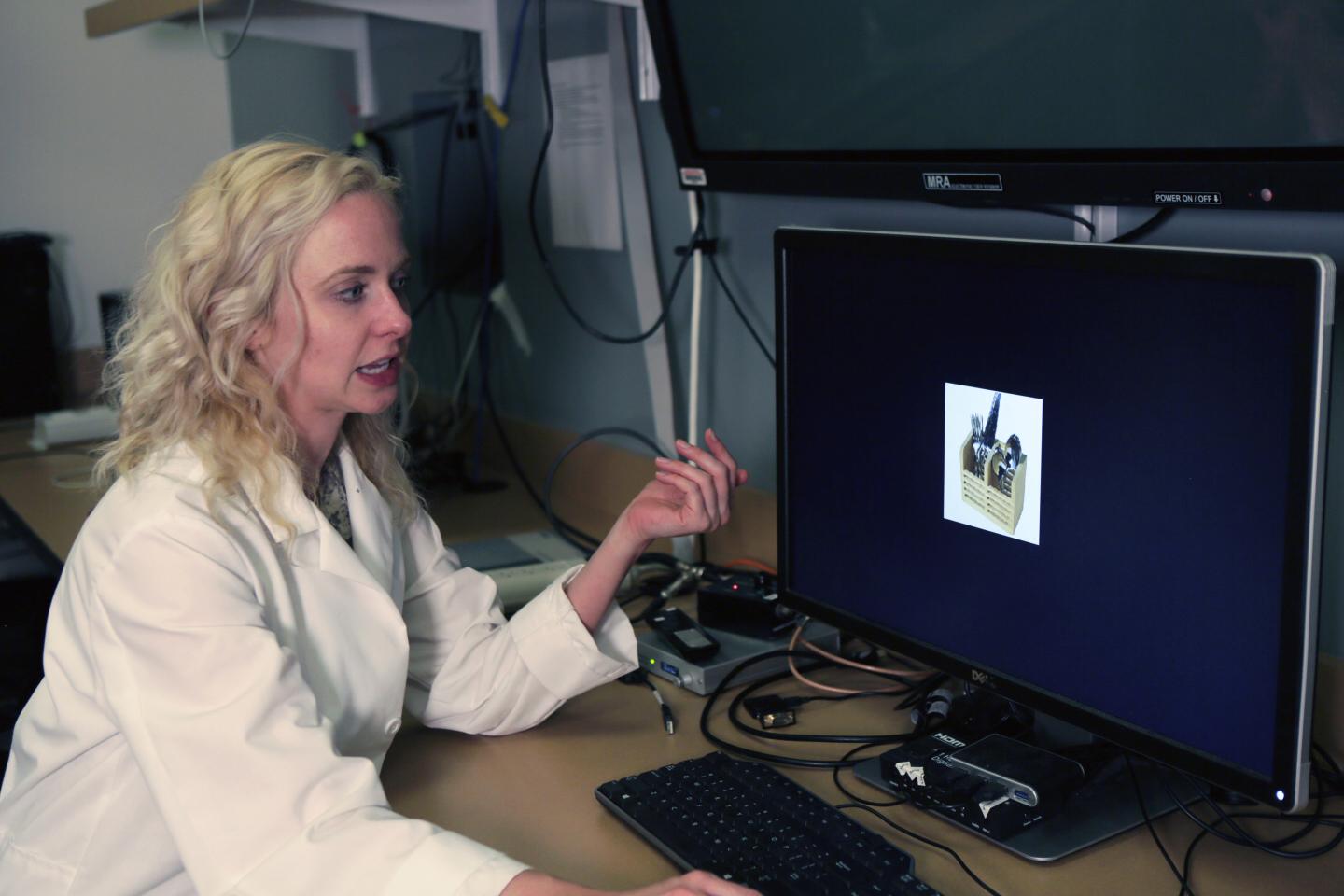 Insights into the Distinct Roles of Hippocamp | EurekAlert!