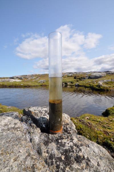 A Sediment Core from an Eider [IMAGE] | EurekAlert! Science News Releases