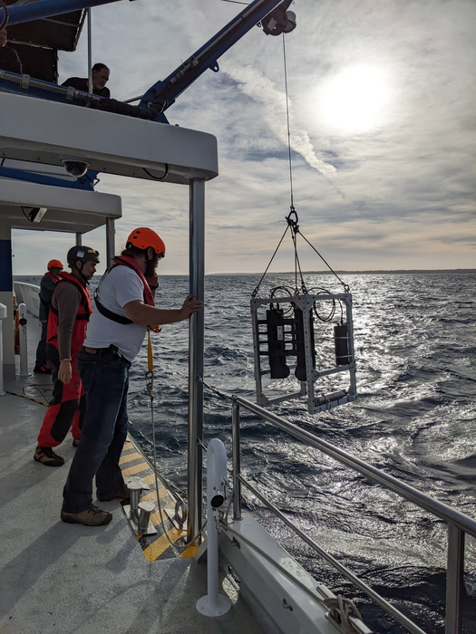 FAU developed AUTOHOLO shows potential as red | EurekAlert!