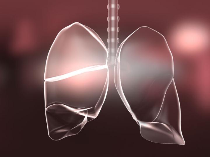 A New Drug Target for Lung Cancer | EurekAlert!