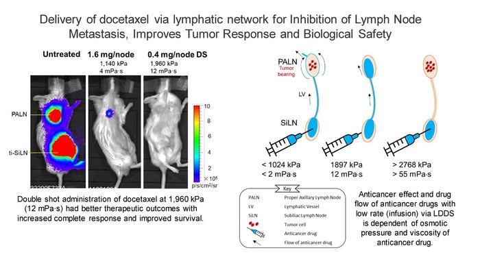 Novel approach for lymph node metastasis trea | EurekAlert!