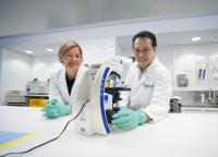 Surprise finding redraws 'map' of blood cell | EurekAlert!