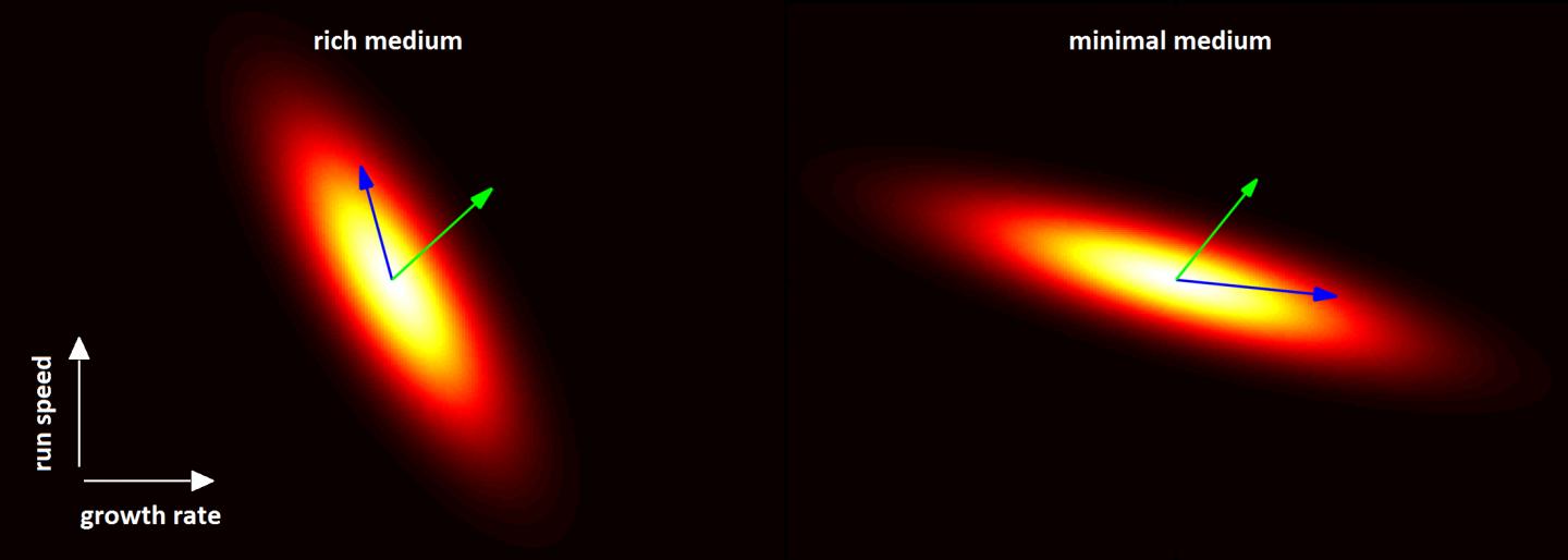 Kuehn Research Image Evolution [IMAGE] | EurekAlert! Science News Releases