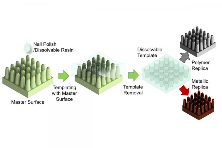 Schematic [IMAGE] | EurekAlert! Science News Releases