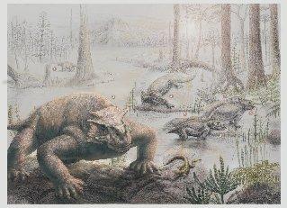Late Permian pareiasaurs [IMAGE] | EurekAlert! Science News Releases