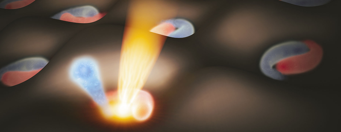 How excitons form [IMAGE] | EurekAlert! Science News Releases