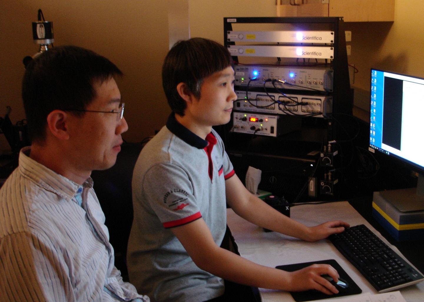 Study expands understanding of how the brain | EurekAlert!