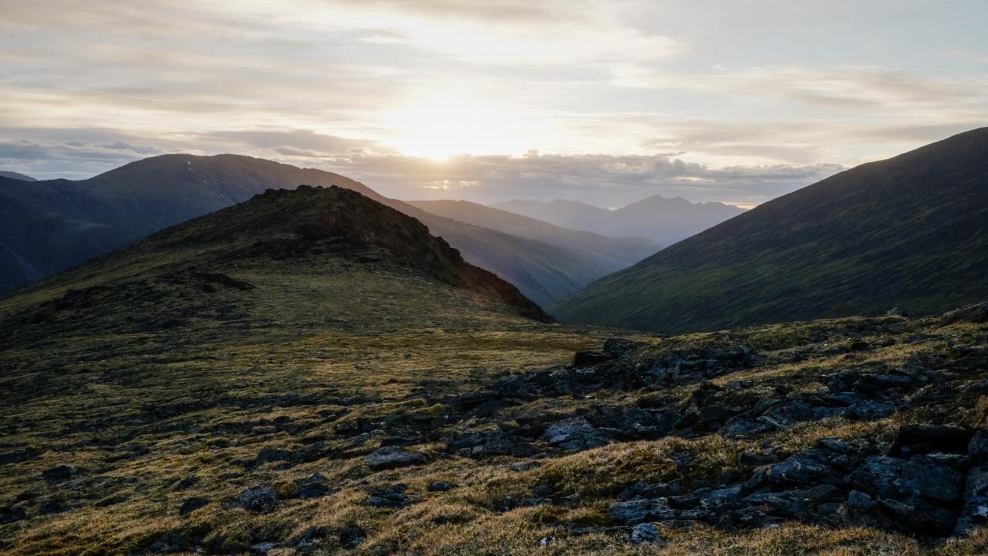 Seed Predation Increases Towar [IMAGE] | EurekAlert! Science News Releases