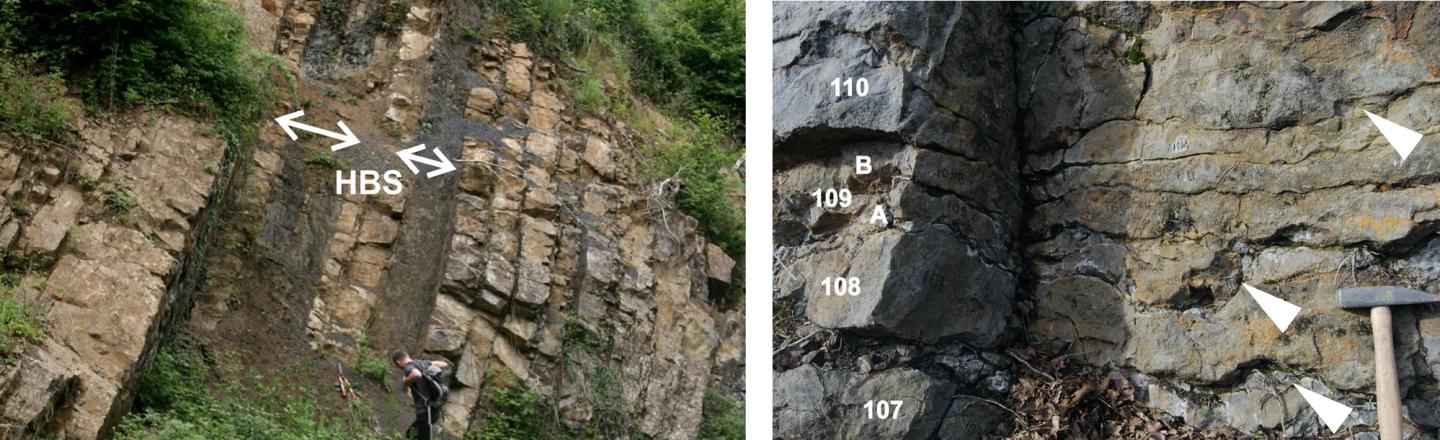 Rock layers marking the transi [IMAGE] | EurekAlert! Science News Releases
