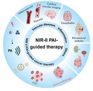 NIR-II photoacoustic imaging technology enhan | EurekAlert!