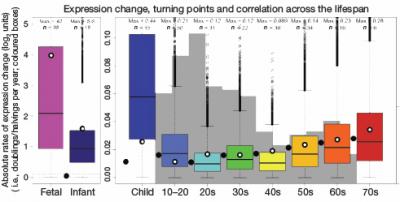 Expression Change, Turning Poi [IMAGE] | EurekAlert! Science News Releases
