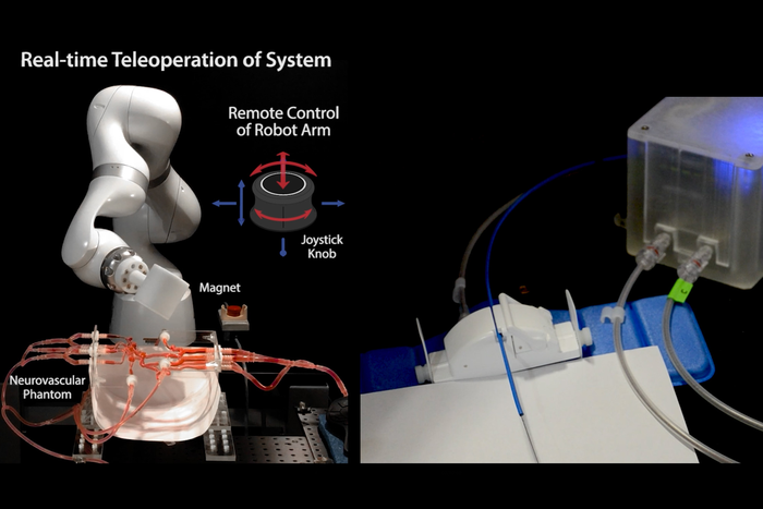 Real-time Teleoperation of sys [IMAGE] | EurekAlert! Science News Releases