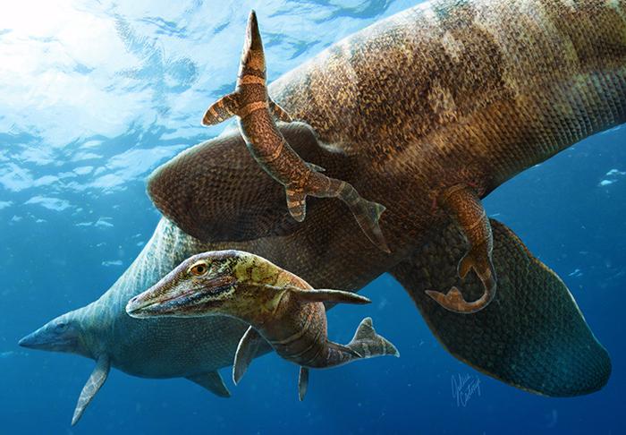 Mosasaurs [IMAGE] | EurekAlert! Science News Releases