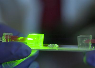 Prototype Polymer Lens [IMAGE] | EurekAlert! Science News Releases