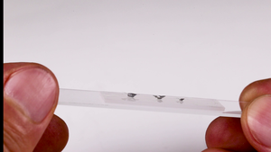 Winged microchip is smallest-ever human-made | EurekAlert!