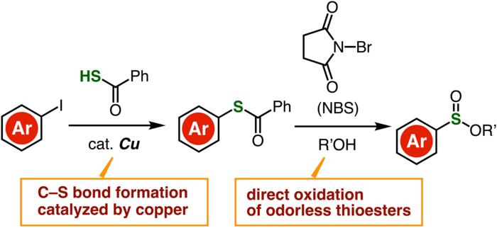 Producing sulfinate esters fro [IMAGE] | EurekAlert! Science News Releases