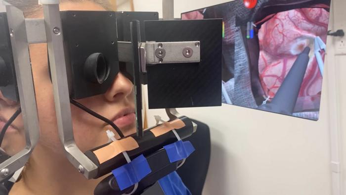 VR neurosurgery [IMAGE] | EurekAlert! Science News Releases