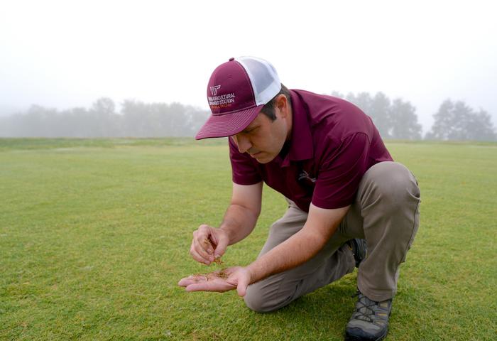 Keeping Grass Greener - David [IMAGE] | EurekAlert! Science News Releases