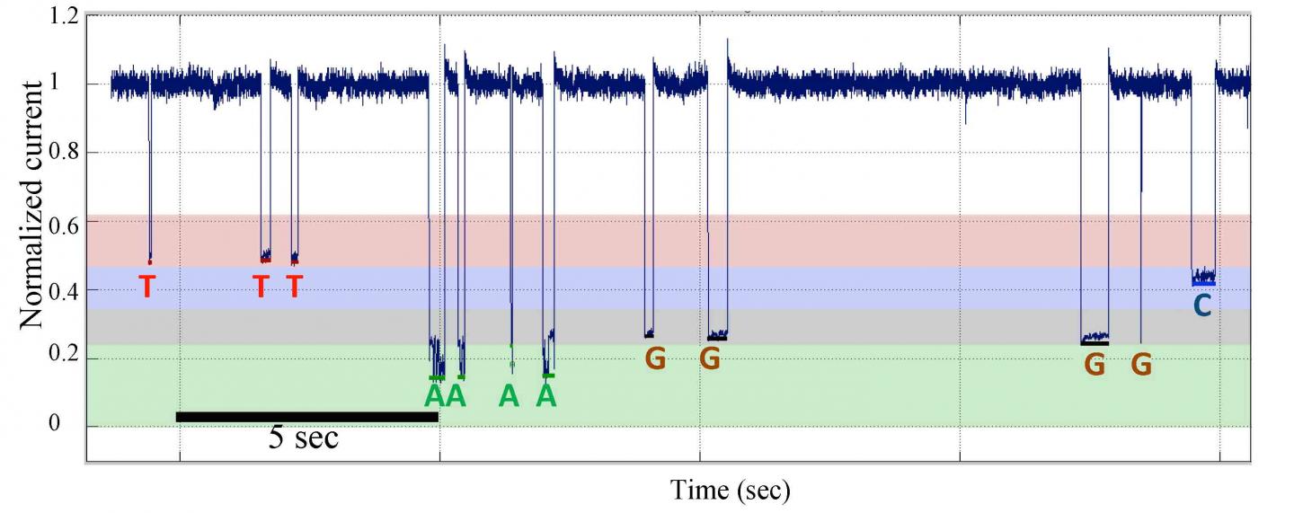Single-Molecule Nanopore DNA S [IMAGE] | EurekAlert! Science News Releases
