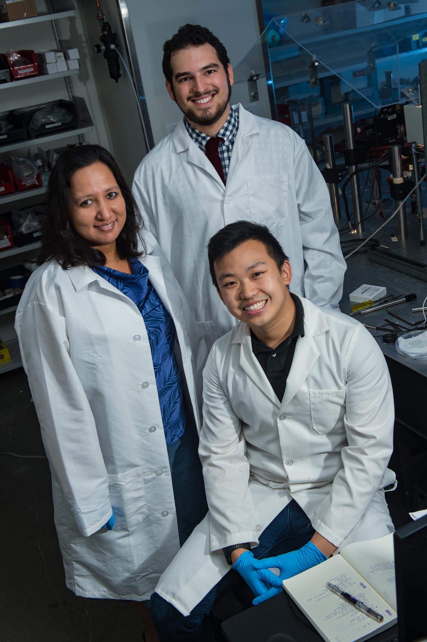 Rice University Researchers [IMAGE] | EurekAlert! Science News Releases