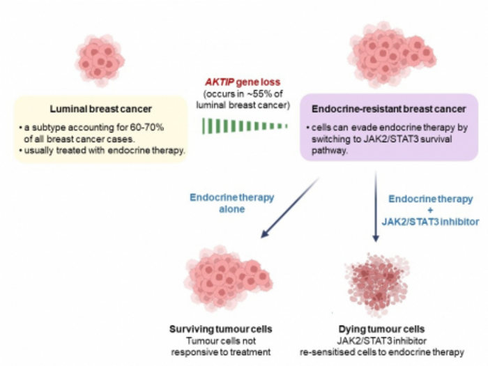 Presentation diagram [IMAGE] | EurekAlert! Science News Releases