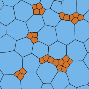 Cells know their math | EurekAlert!