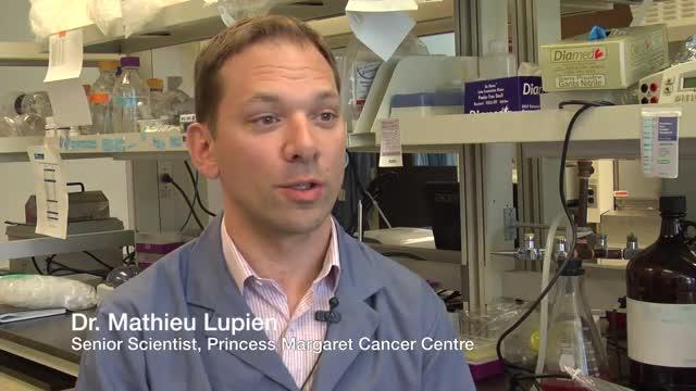 Mutation in prostate tumors shown to change e | EurekAlert!