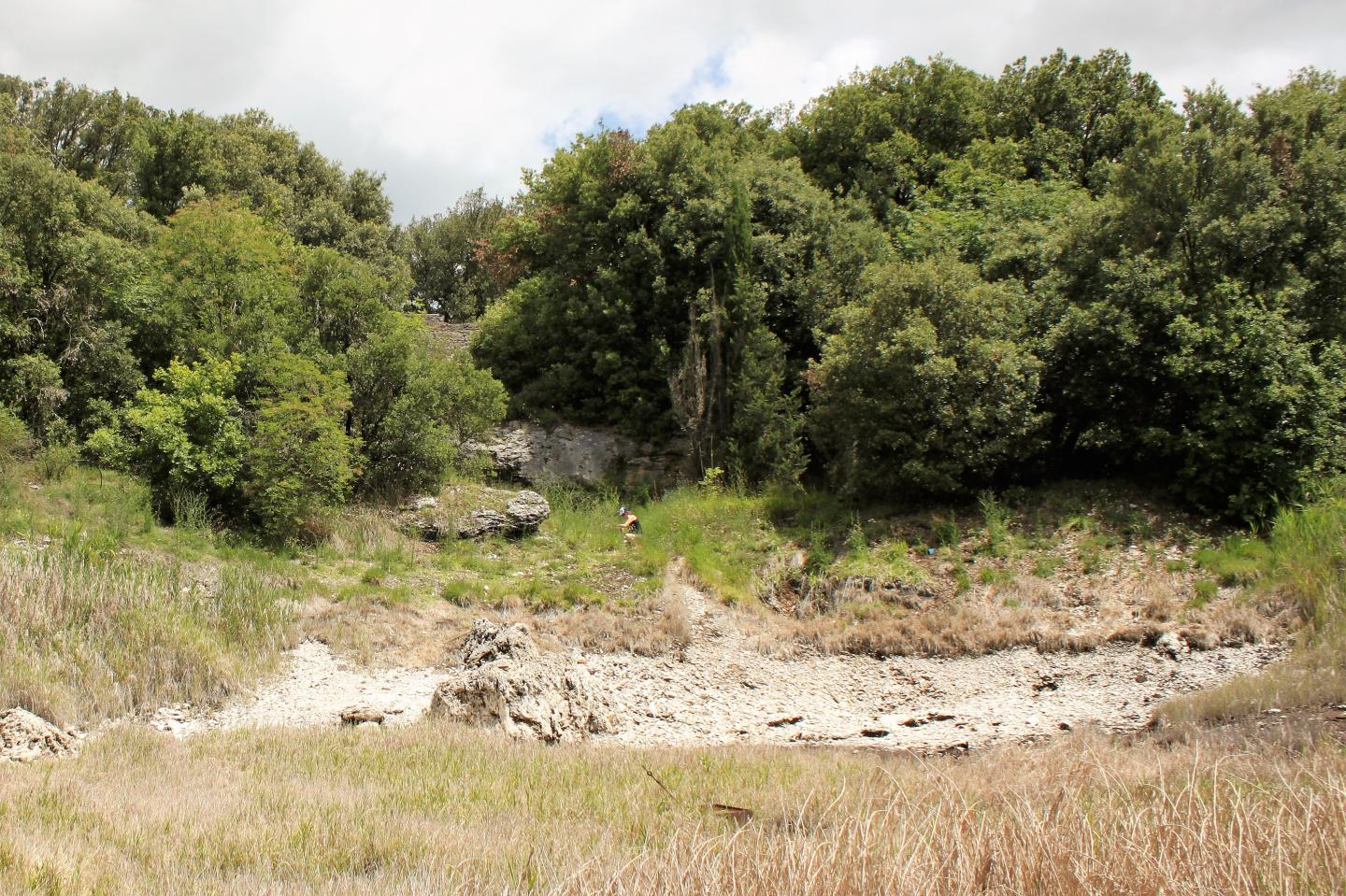 IMG 8044 Natural Spring Sampli [IMAGE] | EurekAlert! Science News Releases