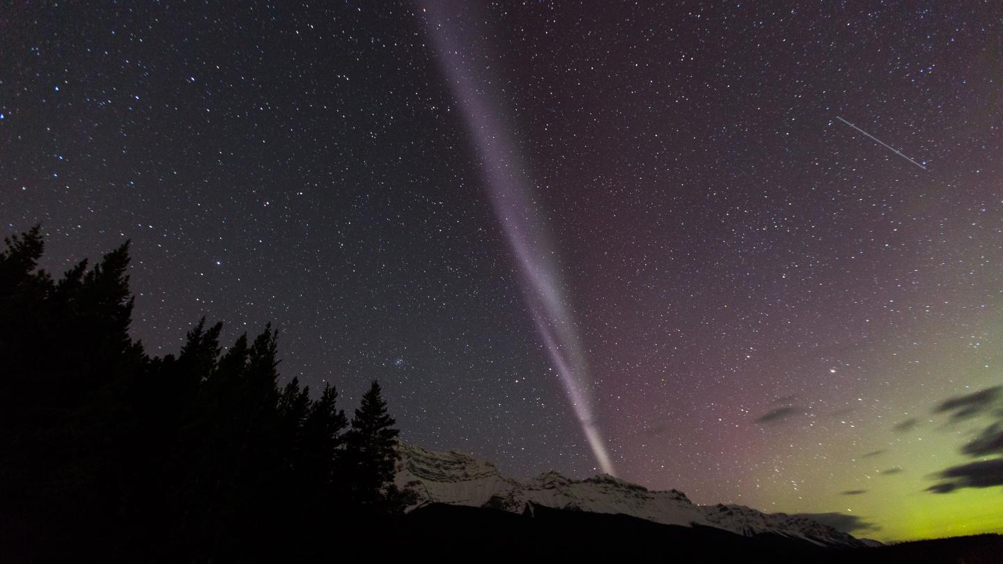 Citizen Scientist Photographers Help Discover | EurekAlert!