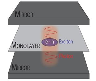 Polariton interactions: Light matters | EurekAlert!