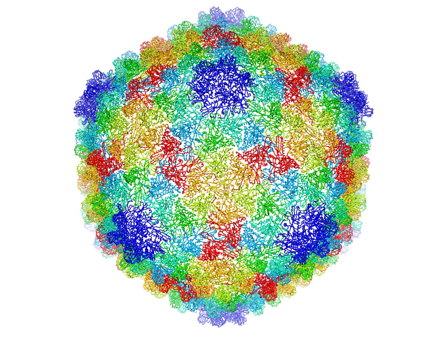 Detailed chemical structure of P22 virus reso | EurekAlert!