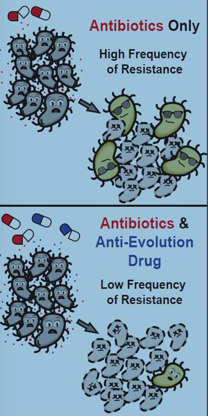 Anti-Evolution Drug Treatment [IMAGE] | EurekAlert! Science News Releases