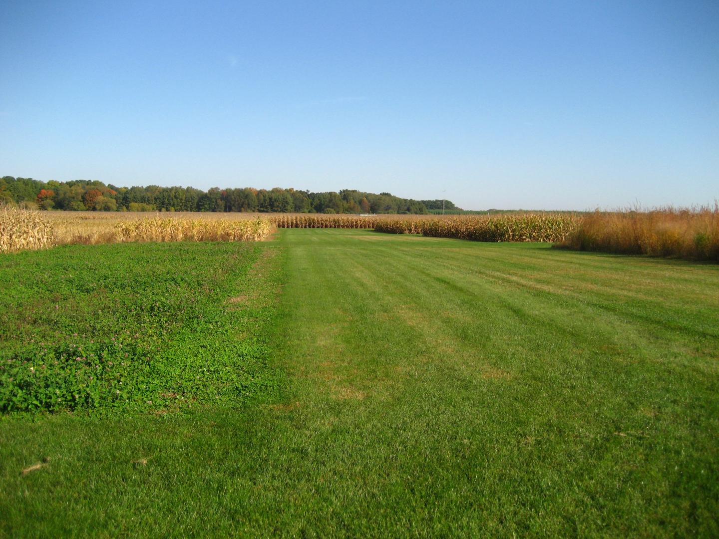 Site of Crop Rotation Project [IMAGE] | EurekAlert! Science News Releases