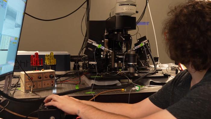 USF researcher using VR to map the brain, und | EurekAlert!