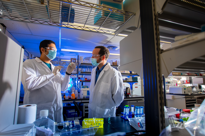 Working in the lab [IMAGE] | EurekAlert! Science News Releases