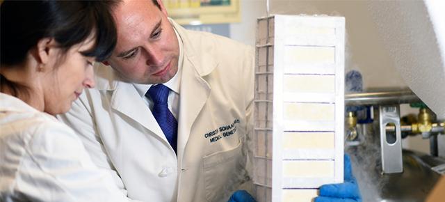 How having too much or too little of CHRNA7 c | EurekAlert!