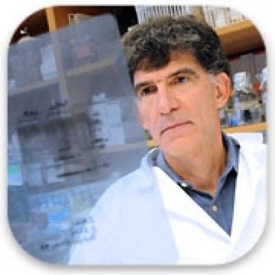 Daniel J Rader, MD, University [IMAGE] | EurekAlert! Science News Releases