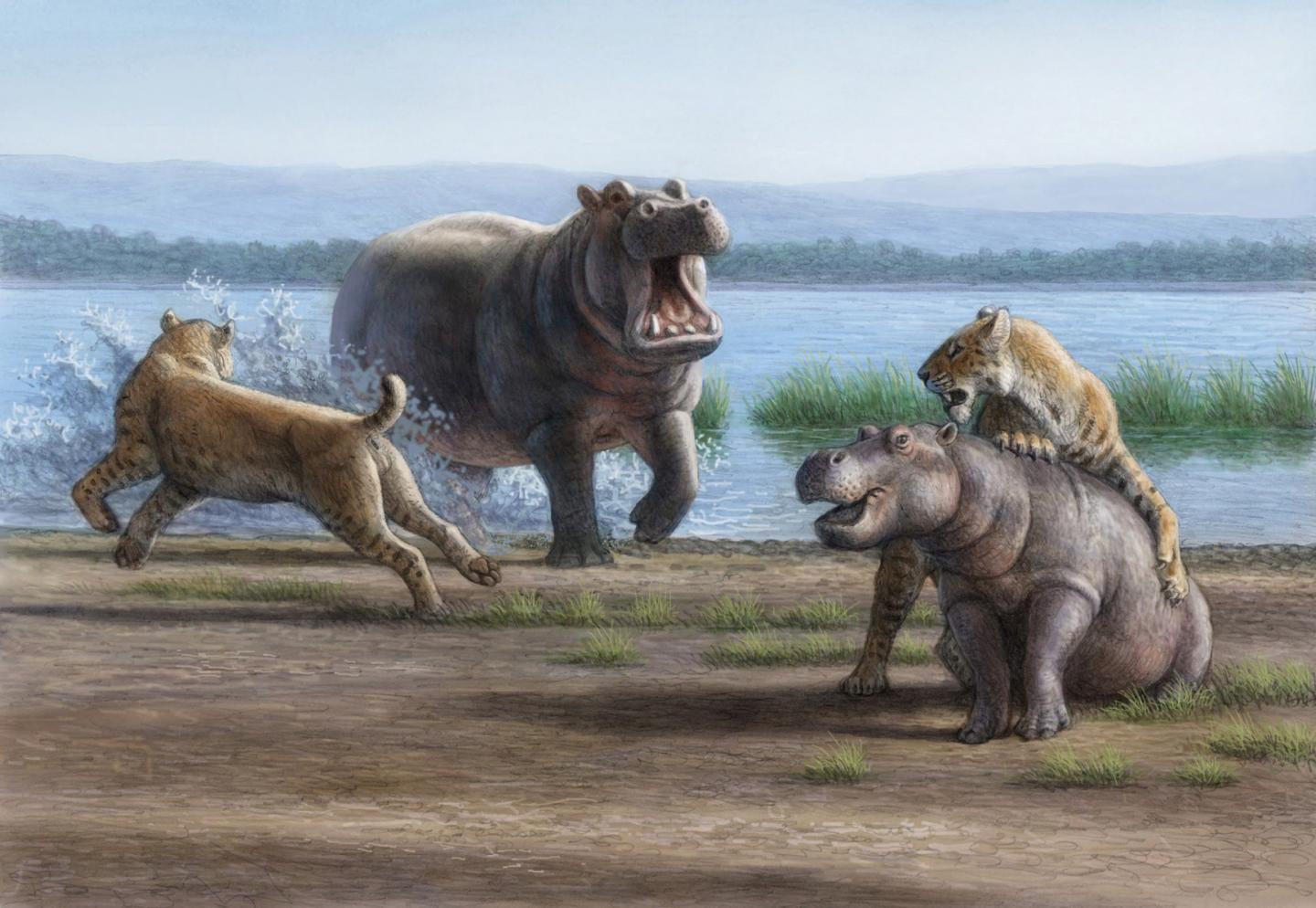 Pleistocene Hippo [IMAGE] | EurekAlert! Science News Releases