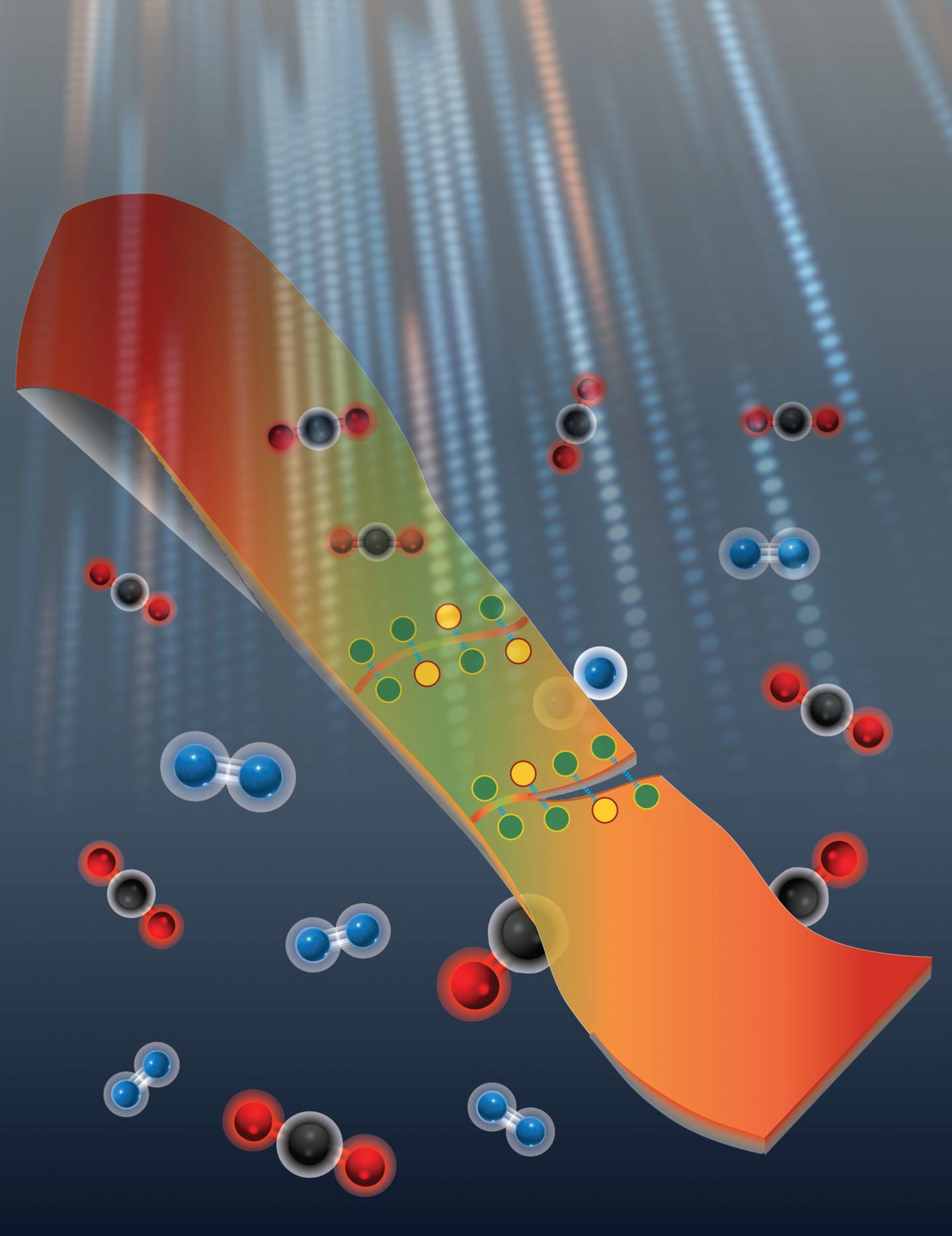 Chemistry -- Polymer, Heal Thy [IMAGE] | EurekAlert! Science News Releases