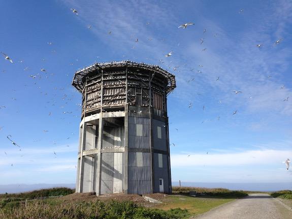 A new use for an old radar tow [IMAGE] | EurekAlert! Science News Releases