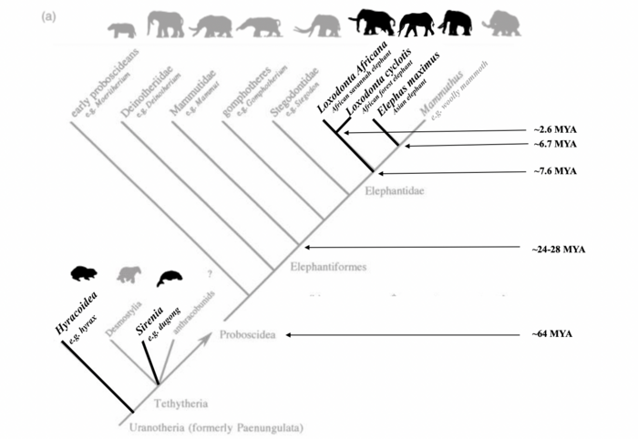 Figure 1 [IMAGE] | EurekAlert! Science News Releases
