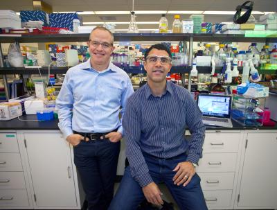 Jay Keasling and James Carothe [IMAGE] | EurekAlert! Science News Releases