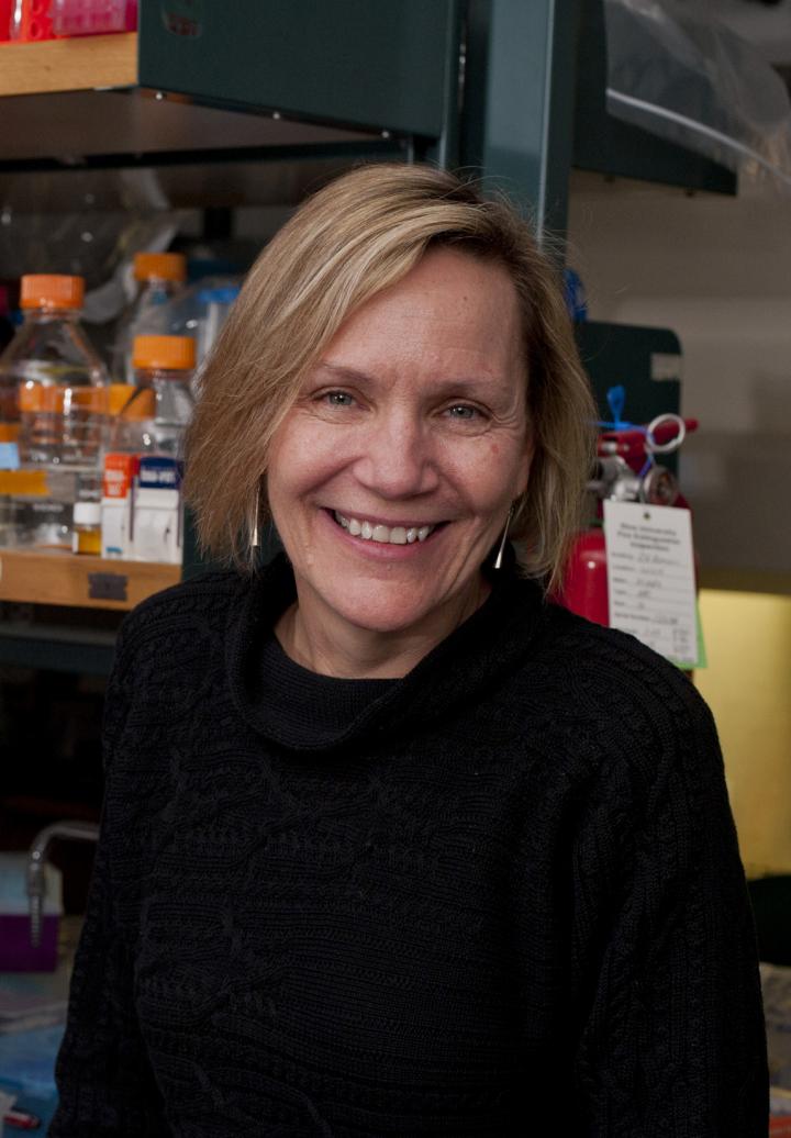Janet Braam, Rice University [IMAGE] | EurekAlert! Science News Releases