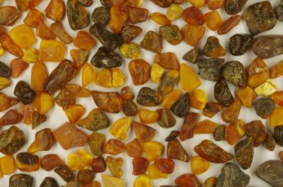 Amber Samples from Germany [IMAGE] | EurekAlert! Science News Releases
