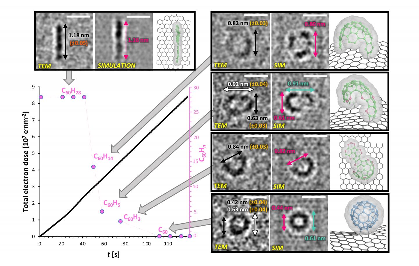 Figure 2 [IMAGE] | EurekAlert! Science News Releases