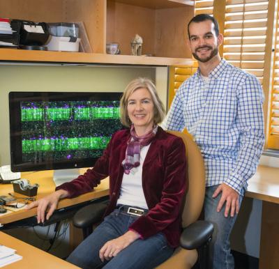 Jennifer Doudna and Sam Sternb [IMAGE] | EurekAlert! Science News Releases