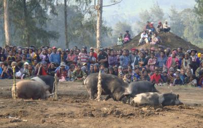 Enga compensation ceremony [IMAGE] | EurekAlert! Science News Releases